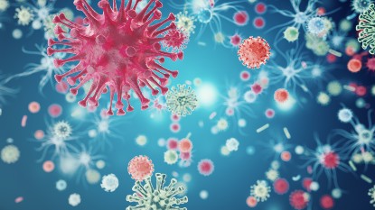 Recherche clinique en virologie : des virus et des hommes | CHU de ...