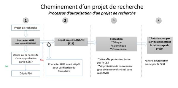Déposer un projet de recherche pour évaluation clinique | CHU de Québec ...